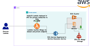 How to Deploy MongoDB on AWS using Terraform: as a Service on ECS or on DocumentDB