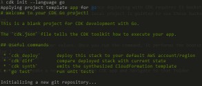 Deploying an AWS ECS Cluster with AWS CDK (in GoLang) and Deploying a Streamlit-OpenAI App to ...